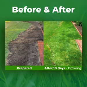 Grotrax Biodegradable Grass Seed Mat - 100 sqft Year Round Green - Grass Seed and Fertilizer for Lawns, Dog Patches & Shade - Just Roll, Water & Grow - No Fake or Artificial Grass