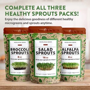 Sprouts and Microgreens Seeds Bulk Mix (16oz): Broccoli, Alfalfa, Radish, Clover Seeds for Sprouting - Grow Healthy Non-GMO Micro Greens - Sprout Seeds Variety Pack - Even Spread of Varieties