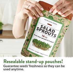 Sprouts and Microgreens Seeds Bulk Mix (16oz): Broccoli, Alfalfa, Radish, Clover Seeds for Sprouting - Grow Healthy Non-GMO Micro Greens - Sprout Seeds Variety Pack - Even Spread of Varieties