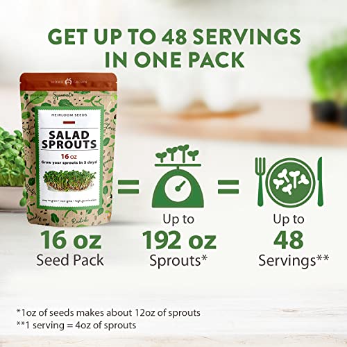 Sprouts and Microgreens Seeds Bulk Mix (16oz): Broccoli, Alfalfa, Radish, Clover Seeds for Sprouting - Grow Healthy Non-GMO Micro Greens - Sprout Seeds Variety Pack - Even Spread of Varieties