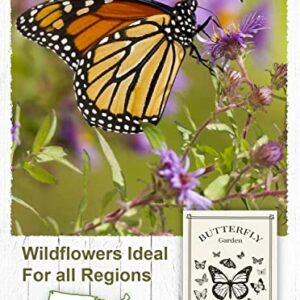 American Meadows Wildflower Seed Packets "Butterfly Garden'' Favors (Pack of 20) - Pollinator Wildflower Seed Mix to Attract Hummingbirds, Bees, and Butterflies, Party Favors for Any Occasion