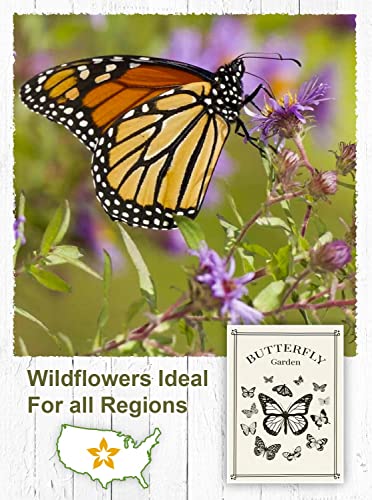 American Meadows Wildflower Seed Packets "Butterfly Garden'' Favors (Pack of 20) - Pollinator Wildflower Seed Mix to Attract Hummingbirds, Bees, and Butterflies, Party Favors for Any Occasion