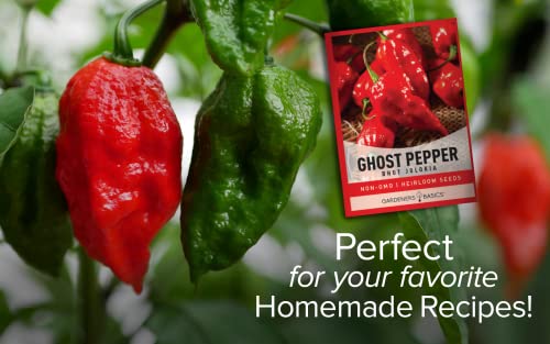 Ghost Pepper Seeds for Planting Spicy Hot - Heirloom Non-GMO Hot Pepper Seeds for Home Garden Vegetables Makes a Great Plant Gift for Gardening by Gardeners Basics