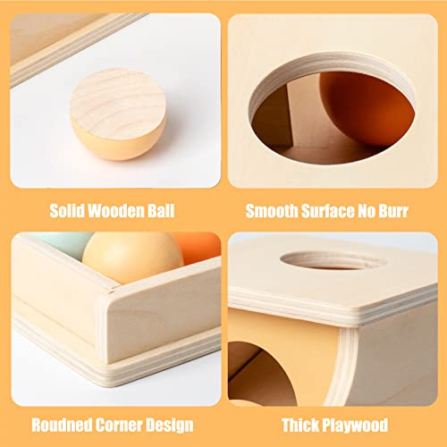 Montessori Object Permanence Box Quiet Sound Wooden Color Ball Drop Play for 6 Month 1 2 3 Year Old Toddlers Early Education Tool