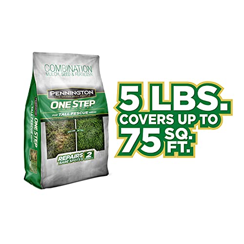 One Step Complete Tall Fescue 5lb. Grass Seed + Mulch + Fertilizer for Patch Repair