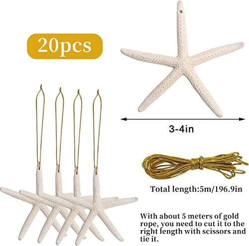 20 PCS Christmas Starfish Ornaments 3-4'' Natural Starfish Ornaments, with Rope for Christmas Tree Hanging Ornaments Beach Theme Wedding Home Starfish Decor & DIY Crafts