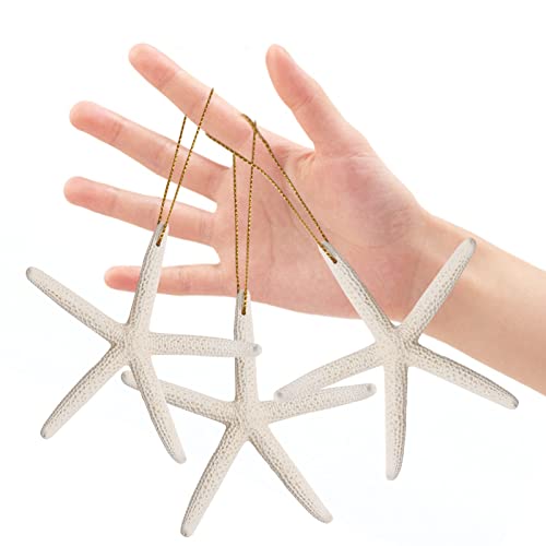 20 PCS Christmas Starfish Ornaments 3-4'' Natural Starfish Ornaments, with Rope for Christmas Tree Hanging Ornaments Beach Theme Wedding Home Starfish Decor & DIY Crafts