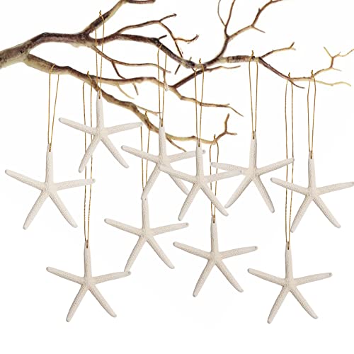 20 PCS Christmas Starfish Ornaments 3-4'' Natural Starfish Ornaments, with Rope for Christmas Tree Hanging Ornaments Beach Theme Wedding Home Starfish Decor & DIY Crafts