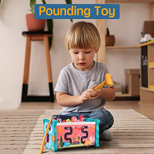 DOQUO Blue Early Baby Development Sensory Montessori Multifunctional Toys 12-18 Months Educational Hammering Pounding for 1+ Years Gift