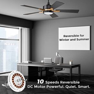 SMAFAN Smart Ceiling Fan 52'' 5-Blade with Remote Control, DC Motor with 10 Speed, Dimmable LED Light Kit Included, Apex Works with Google Assistant and Amazon Alexa, Siri Shortcut (Black and Gold)