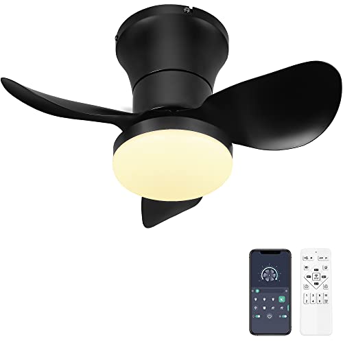 Ceiling Fan with Lights and Remote - 21'' Small Modern Ceiling Fan Remote & APP Control - Dimmable Metal Blades Flush Mount Quiet Mini Ceiling Fans Lights for Kitchen Dining Room Bedroom(Black)