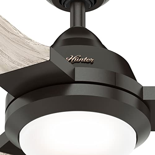 Hunter Fan Company, 50780, 54 inch Leti Noble Bronze Ceiling Fan with LED Light Kit and Wall Control