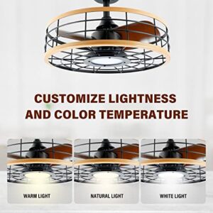 InfiniPower 16” ceiling fans with lights and remote, Caged Ceiling Fan with Reversible Motor for Different Seasons, Quiet and Energy Saving, 6 level Speeds