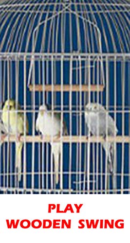 60" Classic Round Bird Cage with Stand for Finch Canary Aviary Budgie Cockatiel Parakeet (16" Diameter x 60" H, White)