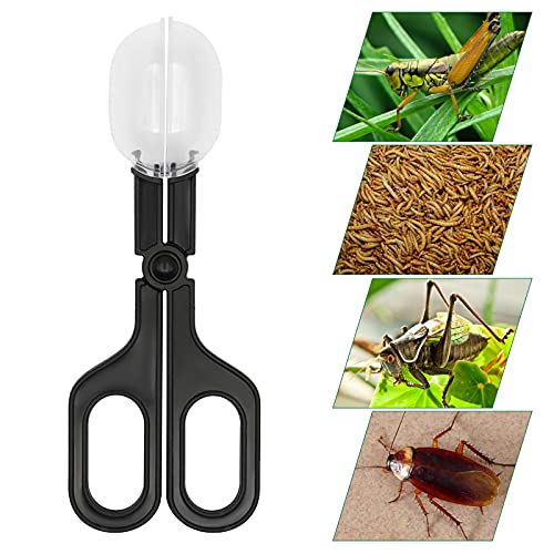 MINYULUA Reptile Feeding Tongs Long Tweezers Cricket Clamp Bug Scooper, Straight and Curved Tweezers Feeding Tools for Reptile Lizard Gecko Bearded Dragon Snake Hamsters