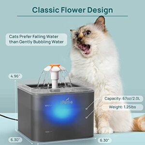 iPettie Neverland Cat Water Fountain with LED Light, 67oz/2.0L, Ultra Quiet Cat Drinking Fountain with Filter, Automatic Pet Water Fountain, Cat Fountain for Cats and Small Dogs, Grey