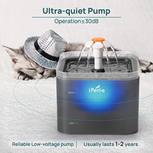 iPettie Neverland Cat Water Fountain with LED Light, 67oz/2.0L, Ultra Quiet Cat Drinking Fountain with Filter, Automatic Pet Water Fountain, Cat Fountain for Cats and Small Dogs, Grey