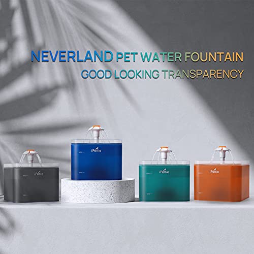 iPettie Neverland Cat Water Fountain with LED Light, 67oz/2.0L, Ultra Quiet Cat Drinking Fountain with Filter, Automatic Pet Water Fountain, Cat Fountain for Cats and Small Dogs, Grey