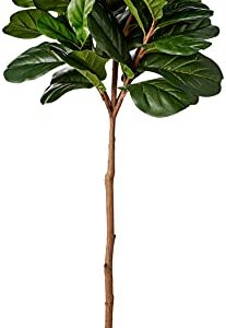 Amazon Brand - Stone & Beam Artificial Fiddle Leaf Fig Tree with Plastic Nursery Pot, 5.2 Feet (62 Inches) / Large, Indoor