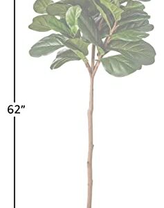 Amazon Brand - Stone & Beam Artificial Fiddle Leaf Fig Tree with Plastic Nursery Pot, 5.2 Feet (62 Inches) / Large, Indoor