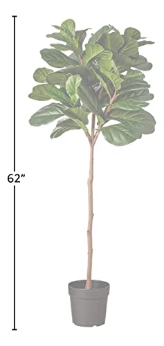 Amazon Brand - Stone & Beam Artificial Fiddle Leaf Fig Tree with Plastic Nursery Pot, 5.2 Feet (62 Inches) / Large, Indoor