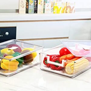 REFSAVER Refrigerator Food Storage Container Bin 2 Pack Fridge Trays with Foldable Lid Kitchen Organizer Produce Bin for Vegetables,Fruits,Snacks… (2 Pack)