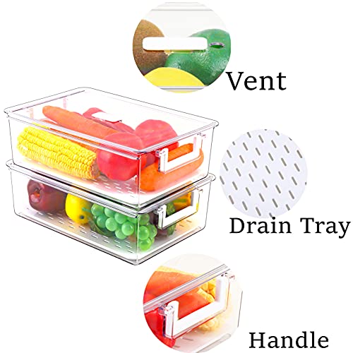 REFSAVER Refrigerator Food Storage Container Bin 2 Pack Fridge Trays with Foldable Lid Kitchen Organizer Produce Bin for Vegetables,Fruits,Snacks… (2 Pack)