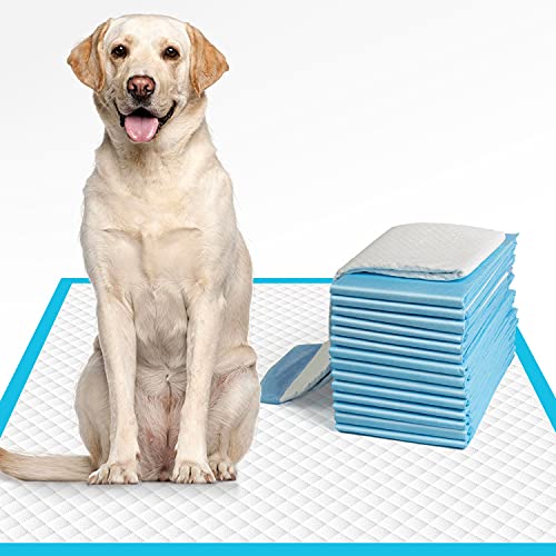 IMMCUTE Dog Pee Pads Extra Large 28"x34", X-Large Training Puppy Pee Pads Super Absorbent & Leak-Proof, XL Disposable Pet Piddle Pad and Potty Pads for Dogs, Puppies, Doggie (XLarge:28"*34"-40 Ct)