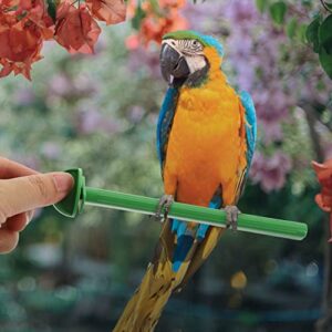 POPETPOP Small Bird Toys 50pcs Bird Perch Bird Stand Toy Plastic Perch Platform Paw Grinding Stick Bird Cage Accessories for Cockatiels Lovebirds Small Parakeets Parrotlets Bird Toy