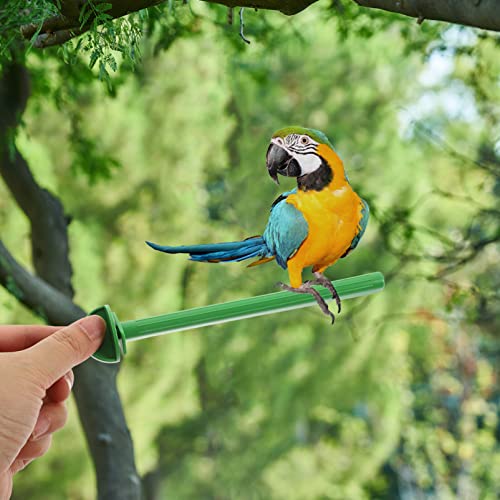 POPETPOP Small Bird Toys 50pcs Bird Perch Bird Stand Toy Plastic Perch Platform Paw Grinding Stick Bird Cage Accessories for Cockatiels Lovebirds Small Parakeets Parrotlets Bird Toy