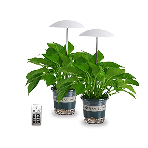 LED Grow Light for Indoor Plants 2 Pack, Intelligent USB Small Plant Lights with Remote Controller, Height Adjustable, Automatic Timer, Ideal for Home Decoration