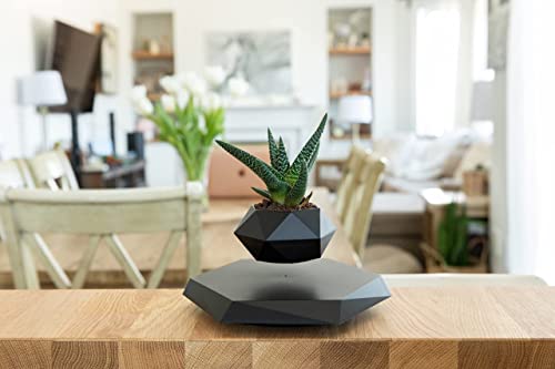 BandD Floating Plant Pot - Levitating Plant Pot for Succulents, air Bonsai & air Plants. Floating Planter for Home, Office & Desk Levitating Decor. Magnetic Floating Levitating Display. (Black)