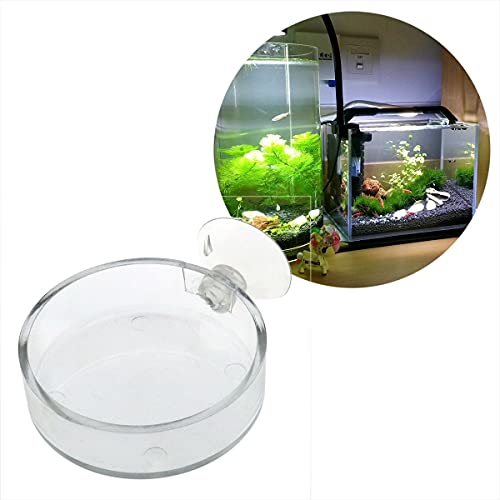 ZRM&E Aquarium Glass Feeder Shrimp Feeding Dish Transparency Acrylic Food Tray Container with Suction Cup Fish Tank Aquascape Decor, 6.5cm