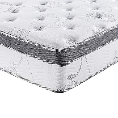 Olee Sleep Memory Foam 13 Inch Plush Galaxy Euro Box Top Spring Mattress