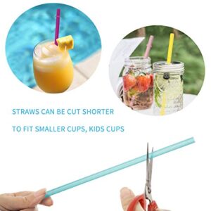 Hiware 52 Pcs Reusable Plastic Straws for Tumbler, Mason Jars, Cupture/Maars Acrylic, YETI/RTIC, Starbucks, Tervis, - 10.25" Extra Long 10 Colors Replacement Drinking Straws with 2 Cleaning Brushes