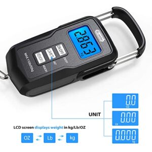 [Upgraded]FS01 Fishing Scale, Dr.meter 110lb/50kg Digital Hanging Scale with Storage Function and Numerical Comparison, Backlit LCD Display, Measuring Tape and 2 AAA Batteries Included