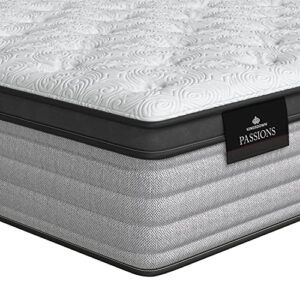 Kingsdown Passions Imagination Pillow Top Mattress, Full