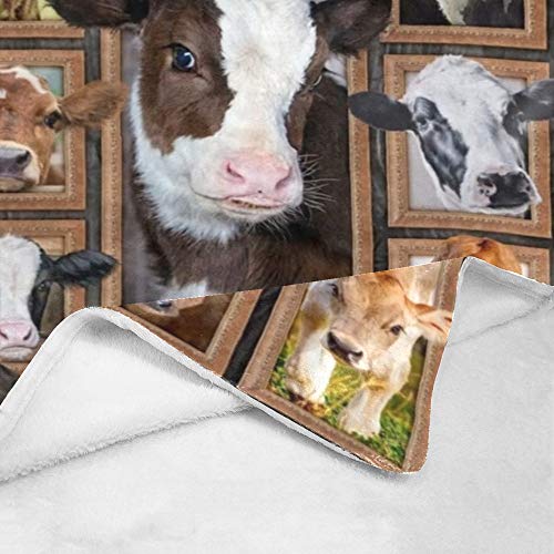 CUXWEOT Custom Blanket with Name Text Personalized Funny Cow Soft Fleece Throw Blanket for Gifts (50 X 60 inches)