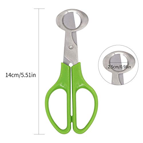 Quail Egg Cutter Scissors Stainless Steel Pigeon Bird Egg Opener Pack of 12