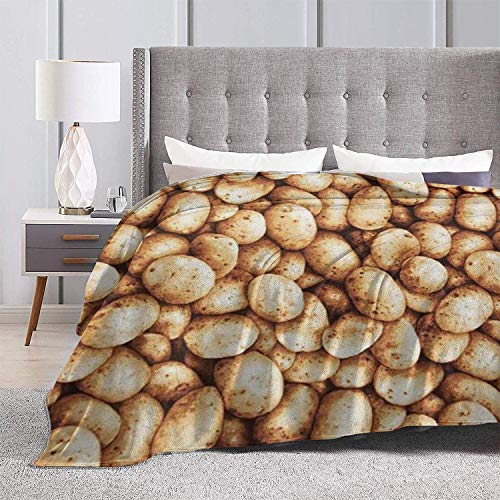 OLOSARO Potato Fleece Blanket Throw Queen Size Lightweight Warm Soft Cozy Luxury Blanket Microfiber for Sofa Bed Couch Chair Fall Winter Spring Living Room