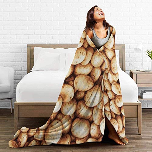 OLOSARO Potato Fleece Blanket Throw Queen Size Lightweight Warm Soft Cozy Luxury Blanket Microfiber for Sofa Bed Couch Chair Fall Winter Spring Living Room