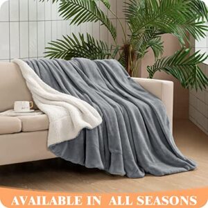 LIANLAM Sherpa Fleece Blanket Twin Size Dual Sided Blanket Super Soft and Warm Fuzzy Plush Cozy Luxury Bed Blankets Microfiber (Grey, Twin(65"x90"))