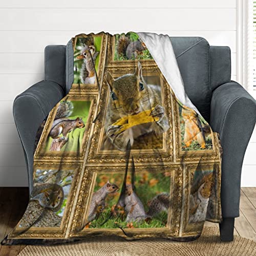 Squirrel Blanket Gifts, 80"x60" Squirrel Print Throw Blankets, Fuzzy Soft Plush Blanket for Women Men, Gifts for Squirrel Lovers, Fleece Bed Throw Blanket for Sofa Bed Couch