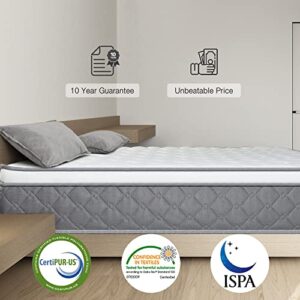 CHEVNI Queen Mattress, 10 inch Hybrid Mattress with Gel Memory Foam,Motion Isolation Individually Wrapped Pocket Coils, Euro Top Design Queen Size Mattresses