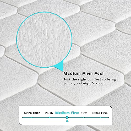 CHEVNI Queen Mattress, 10 inch Hybrid Mattress with Gel Memory Foam,Motion Isolation Individually Wrapped Pocket Coils, Euro Top Design Queen Size Mattresses