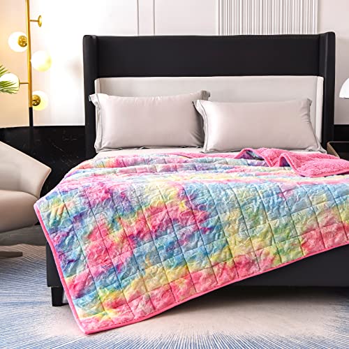 NEWCOSPLAY Faux Fur Weighted Blanket Soft Thick Heavy Throw Blanket for Adult Kids Plush Sherpa with Glass Beads (Dark Rainbow， 48"x72" | 15 lbs)