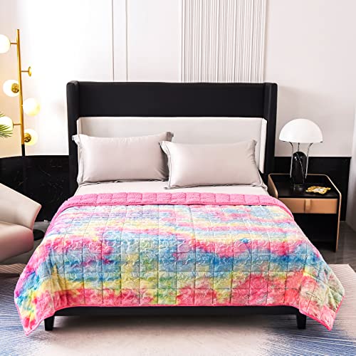 NEWCOSPLAY Faux Fur Weighted Blanket Soft Thick Heavy Throw Blanket for Adult Kids Plush Sherpa with Glass Beads (Dark Rainbow， 48"x72" | 15 lbs)