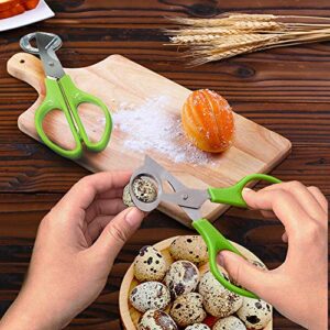 ReNext Pack of 2 Stainless Steel Pigeon Quail Egg Scissor Green