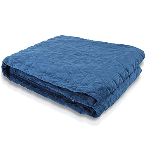 SereneLife Queen Size 20 lbs Heavy Weighted Blanket 60x80 Inches with Removable Super Soft Minky Cover and Premium Glass Beads Filling for Adults and Children, for Bed Sofa