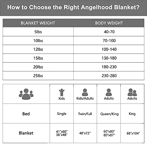 Angelhood Weighted Blanket Adult (20 lbs, 60x80 Inches, Queen or King Size Bed),Oeko-Tex Certified Minky Weighted Blanket Warm Luxury,Heavy Weighted Blanket with Premium Glass Beads